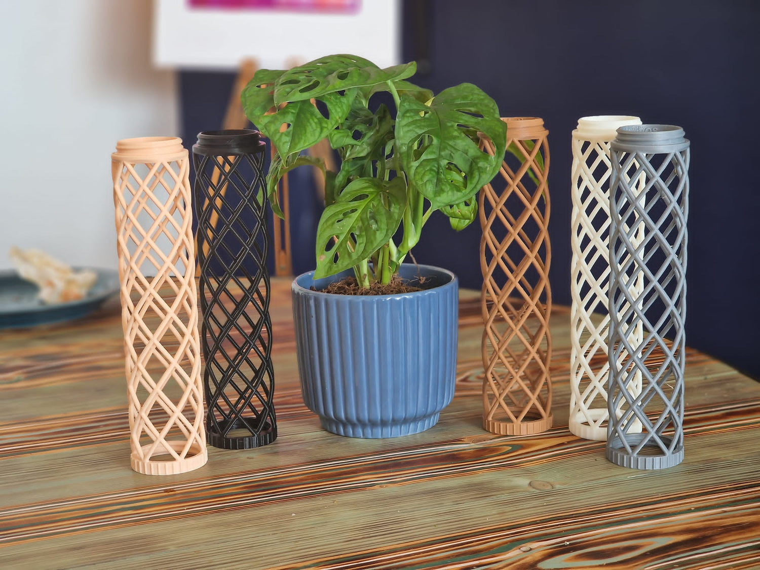 How to select your moss pole colour? – Mythos3Design
