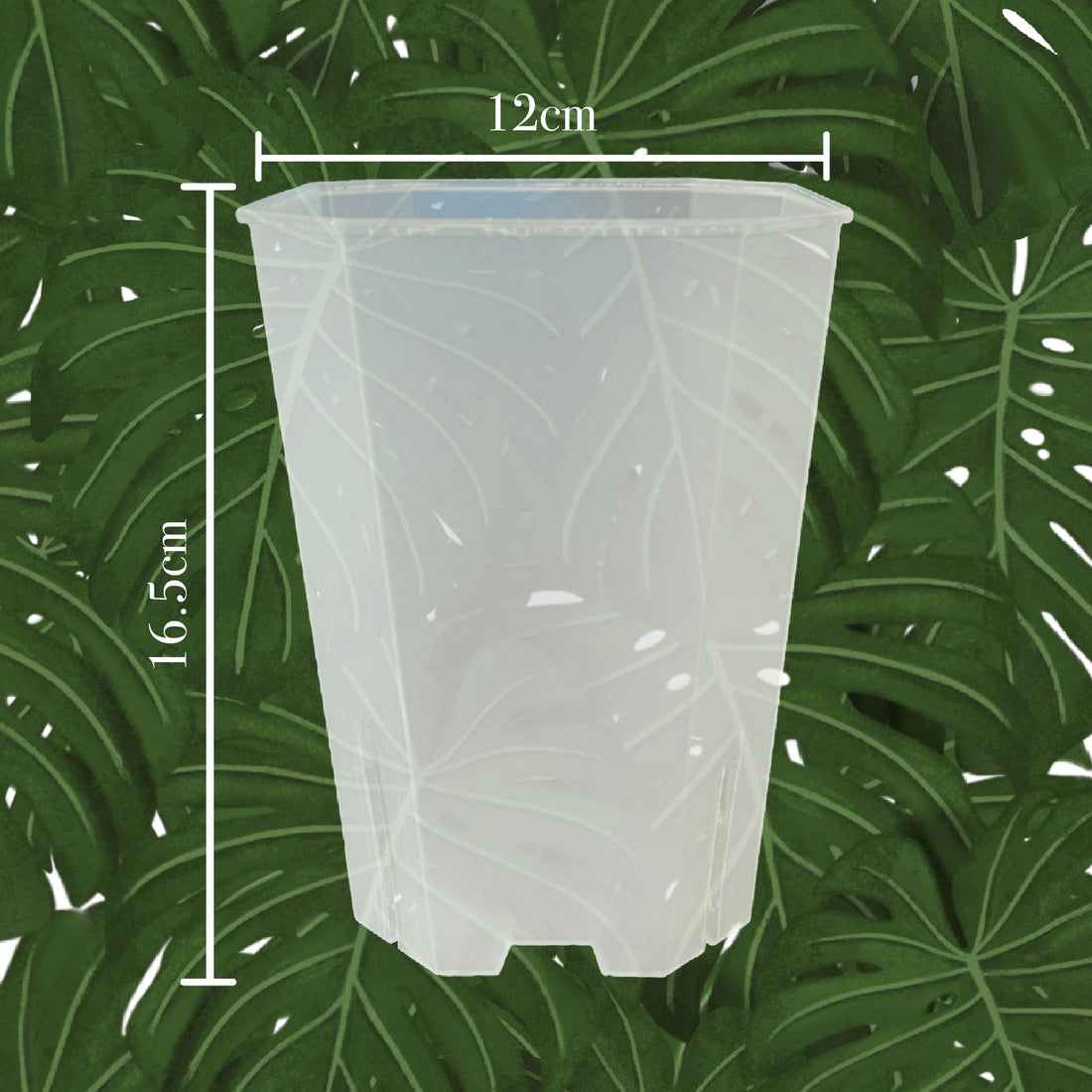 Aroid Tower Pots - Tall Plastic Plant Pots for Repotting, Planting etc ...