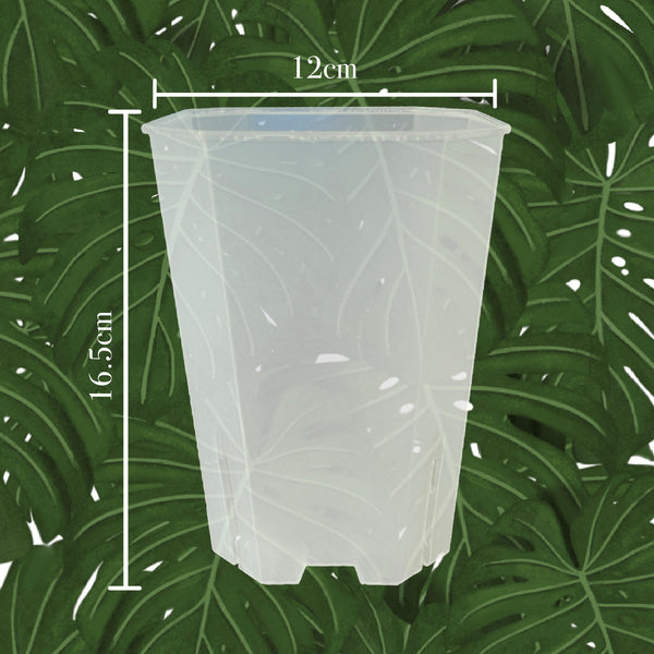 Aroid Tower Pots - Tall Plastic Plant Pots for Repotting, Planting etc ...