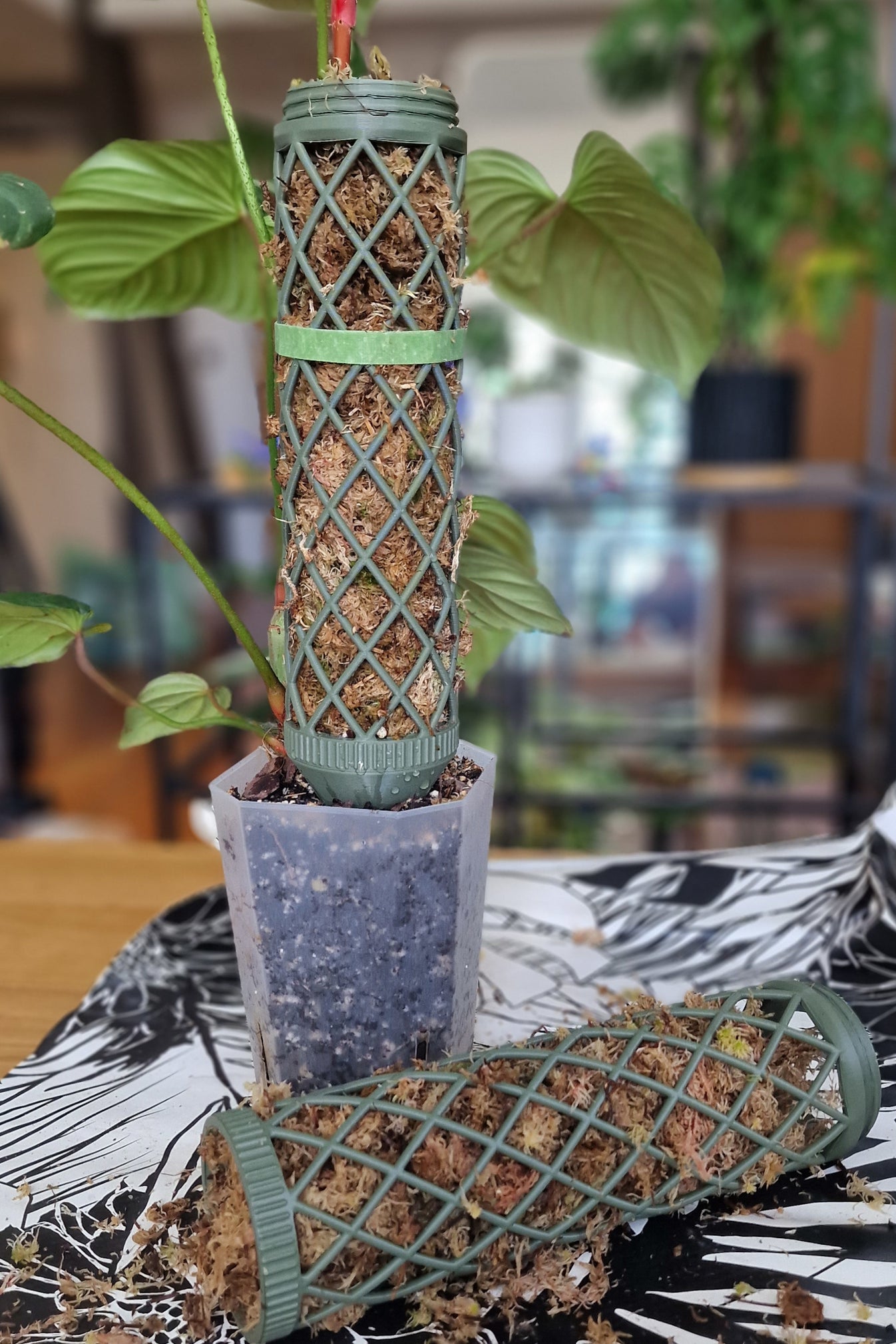 Modular 3D Printed XXL Moss Pole Kit - Extra Large 8 cm (10") Diameter ...