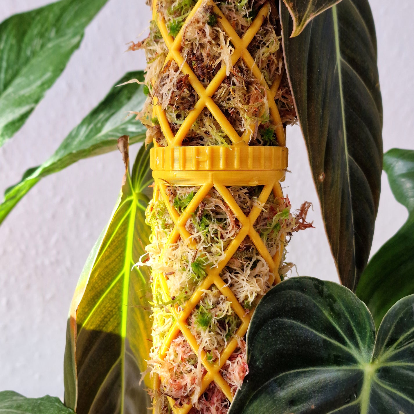 XL Moss Pole Kit Large Diameter: Modular & 3D Printed Design by Plant ...